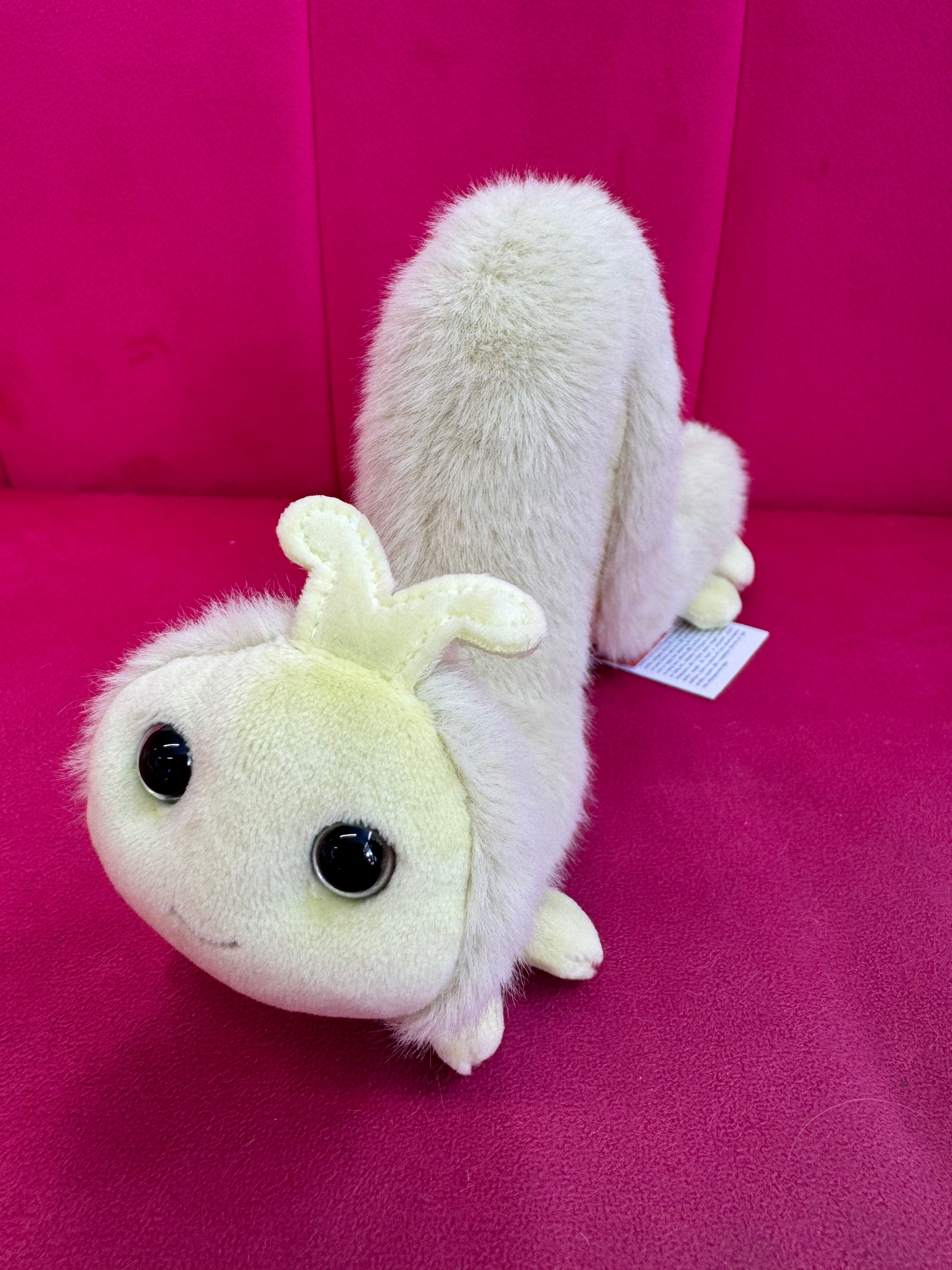 Inchy Inchworm Plush by Douglas – Pixley's Oddities